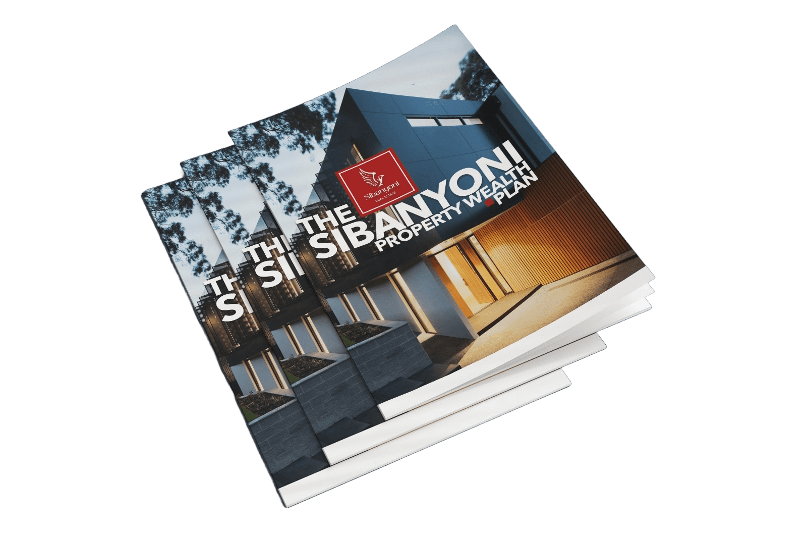 Sibanyoni Co – Wealth | Real Estate | Trusts